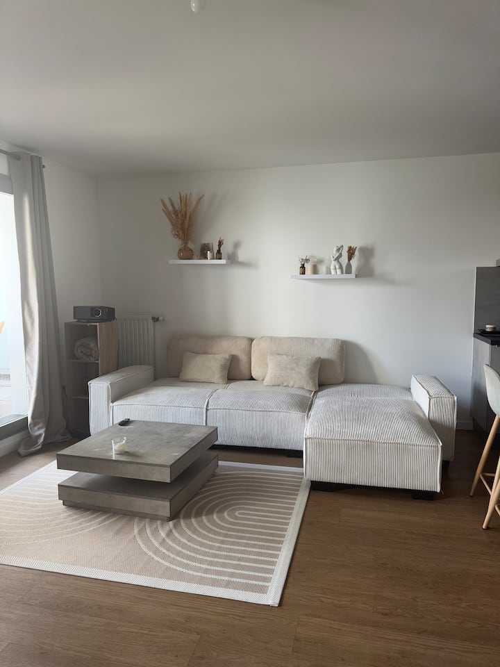 Appartement Spacieux Stade De France - 생드니