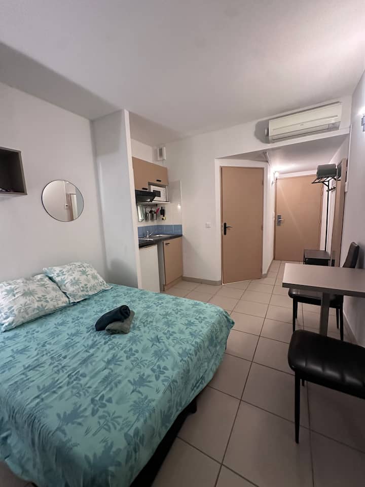 Studio 304 Clim Piscine Et Parking Gratuit - La pointe de l'aiguille