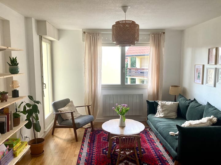 Appartement Cosy - Illkirch-Graffenstaden