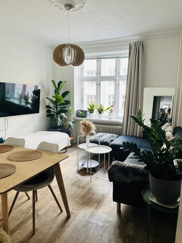 Apartment In The Centre, 100 M From Metro - Copenhague