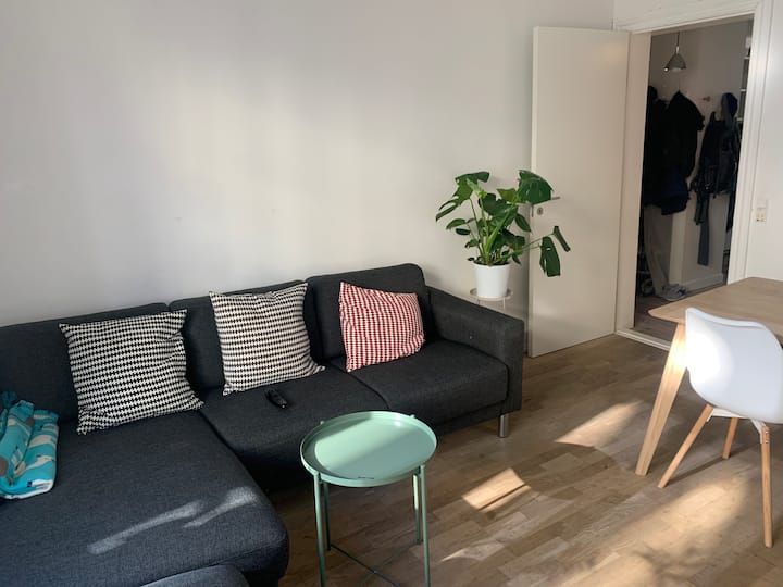 Apartment In The Centre, 100 M From Metro - Copenhagen