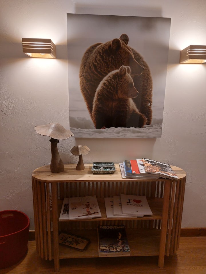 Appartement 2 Pièces Calme Vue Montagne - Lac de la Gittaz