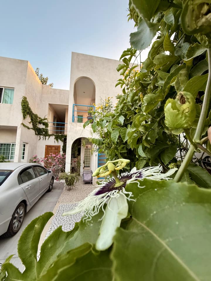 Jade Studio. Cozy & Comfy. 2 Blocks From Sea - 拉巴斯