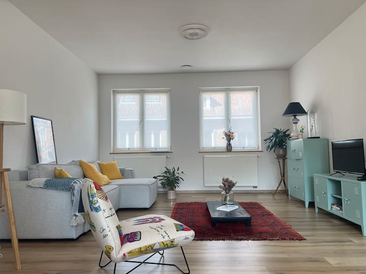 Bel Appartement Rénové Au Cœur De La Ville - Tournai