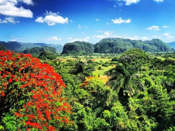 Villa Las Casas "Wifi Incluida Y Generador " - Viñales