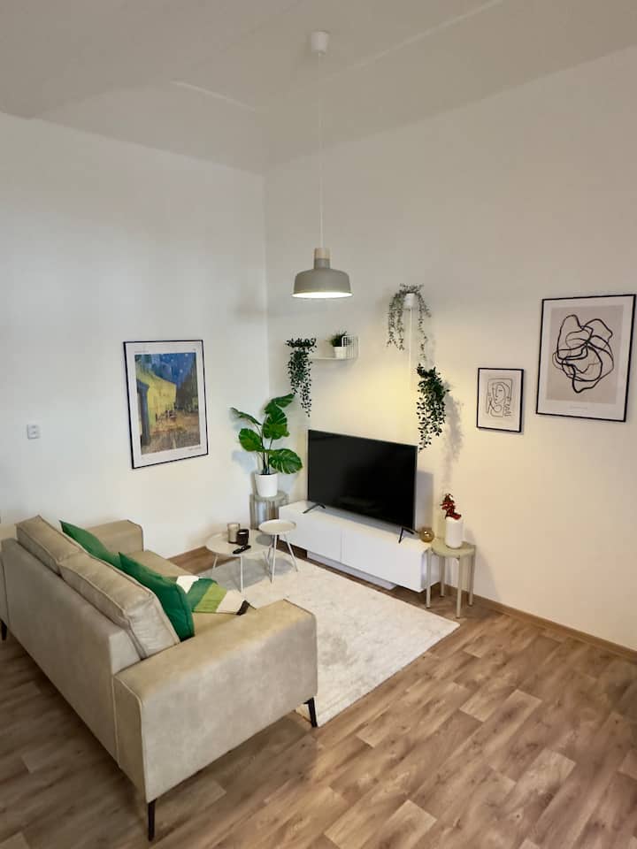Street Apartment In Karlín - Prague