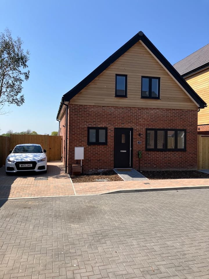 Pebbles By The Sea . - Dungeness