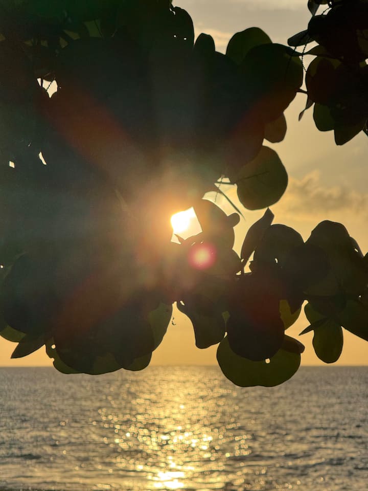 Island Oasis-near Magens Bay Beach - U.S. Virgin Islands