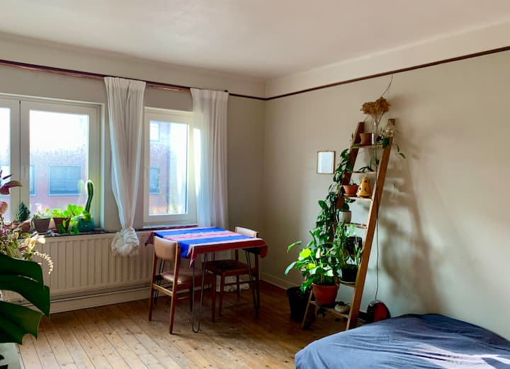 Paloma’s Place - Kluisbergen