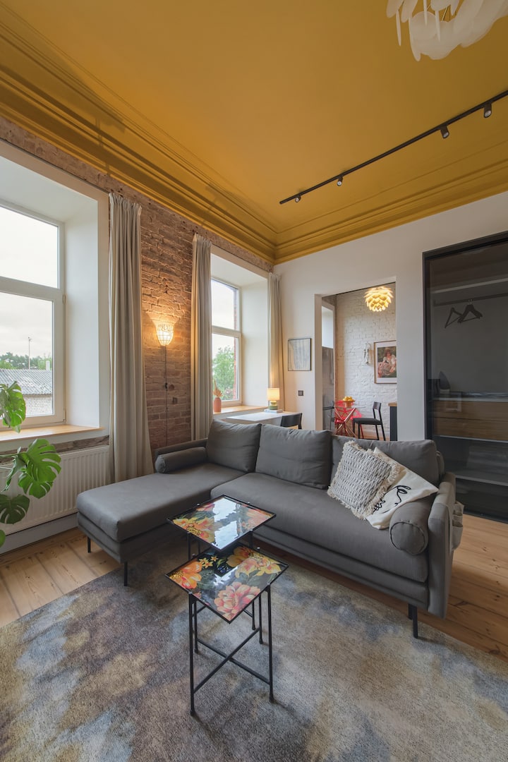 19 Century Kaunas Heritage Apartment 2+2 - 카우나스