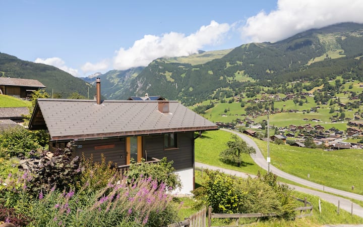 Tiny Chalet On A Very Quiet Place - 格林德瓦