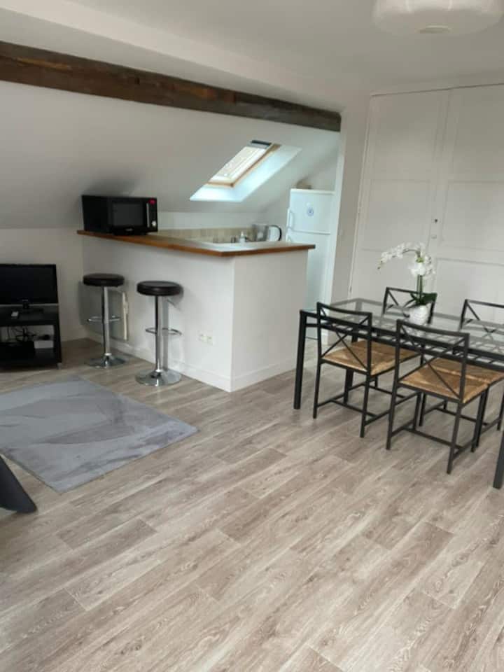 Apparemment Centre Ville - Fontainebleau