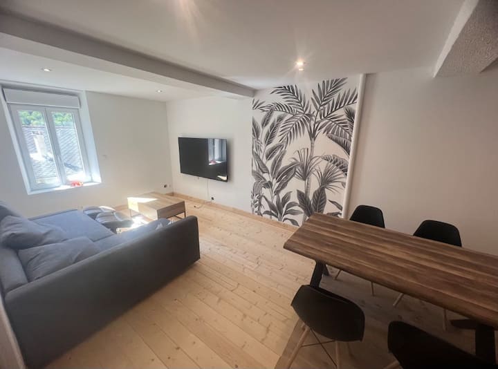 Charmant Grand Appartement - Vernet-les-Bains