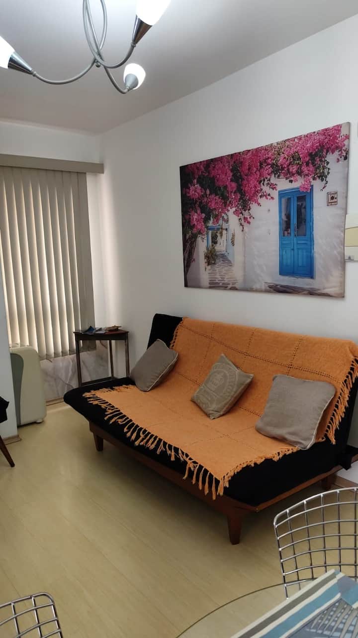 Apto 2 Dorm - Luz - Centro Sp - Sem Garagem - Liberdade