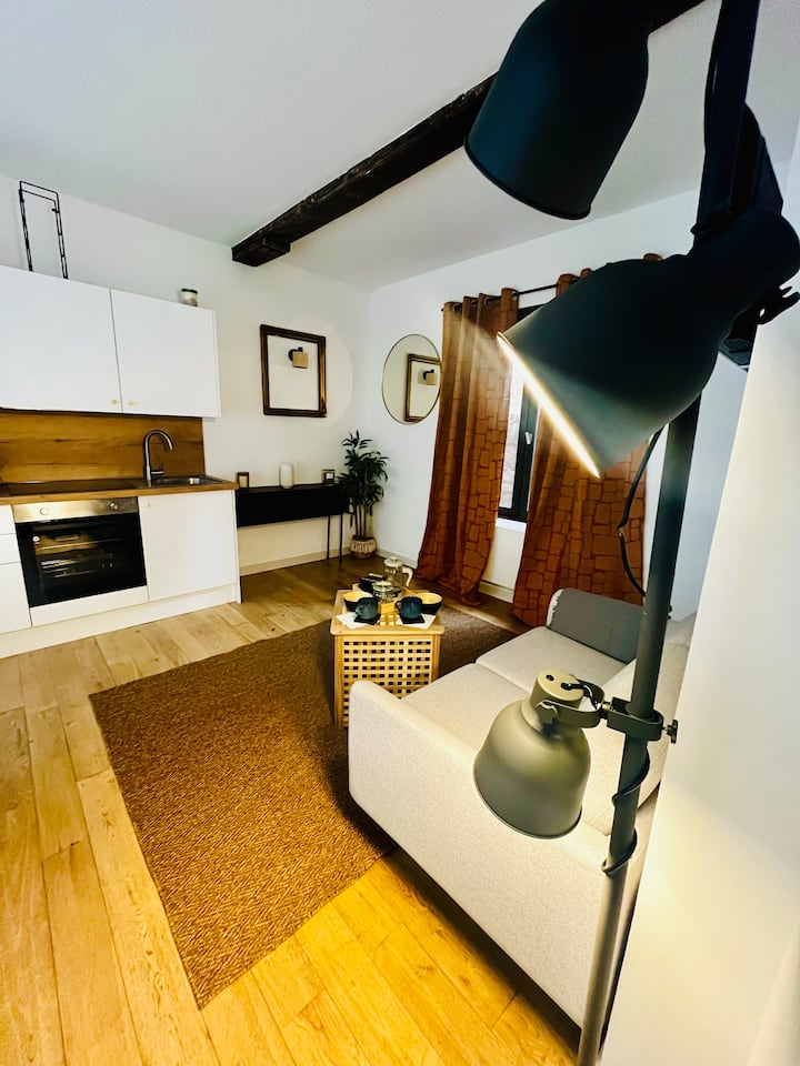 Appartement Coeur Du Vieux Lille/ Royale/ Grand Pl - ibis Lille Centre Grand Palais