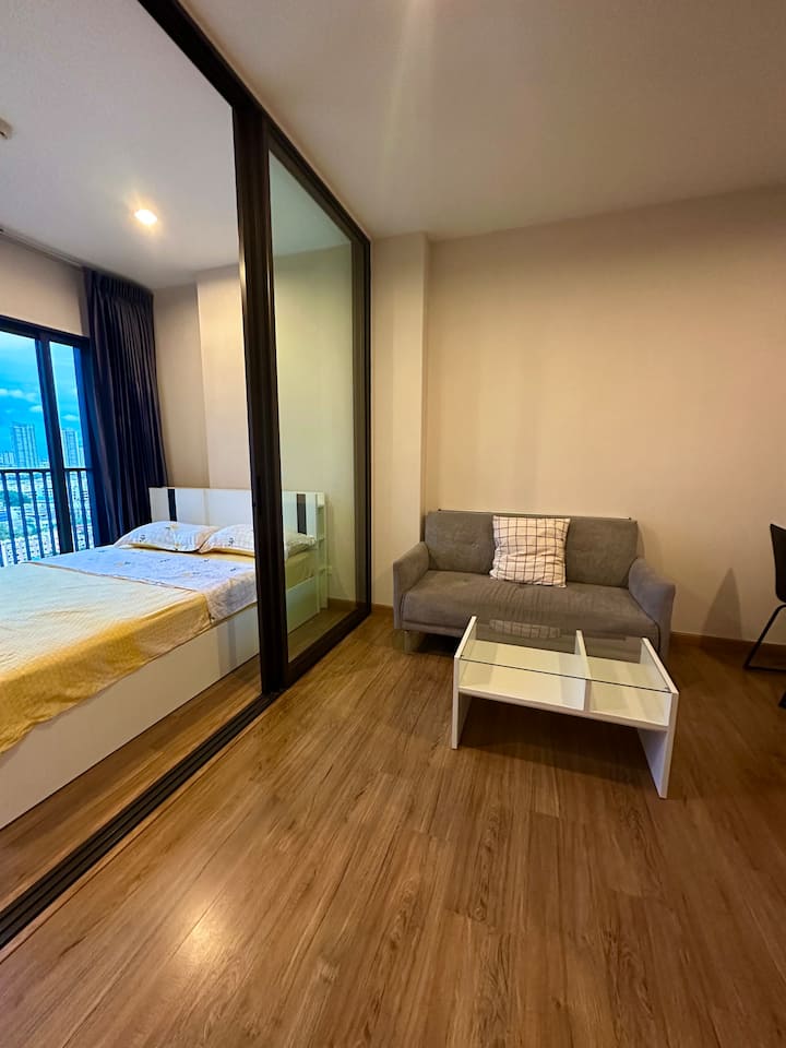 Tree Mid-autumn Rio - Bangkok