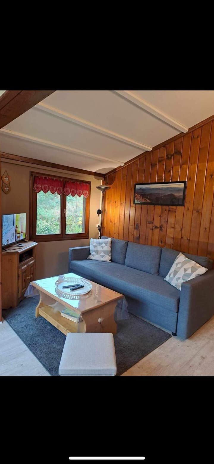 Charmant Chalet - Vosges