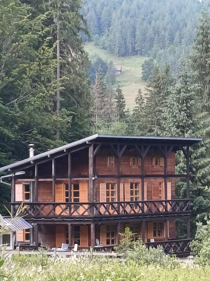 Casa Emmalotta - Vârtop