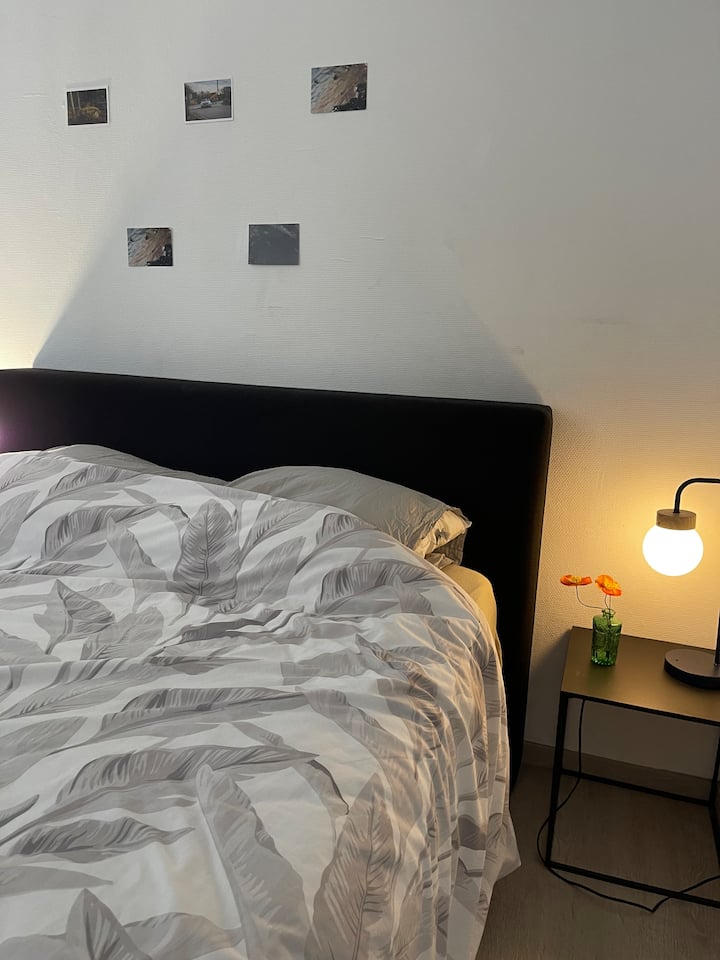 Big Beautiful Appartement In Center Of Antwerpen - Anvers