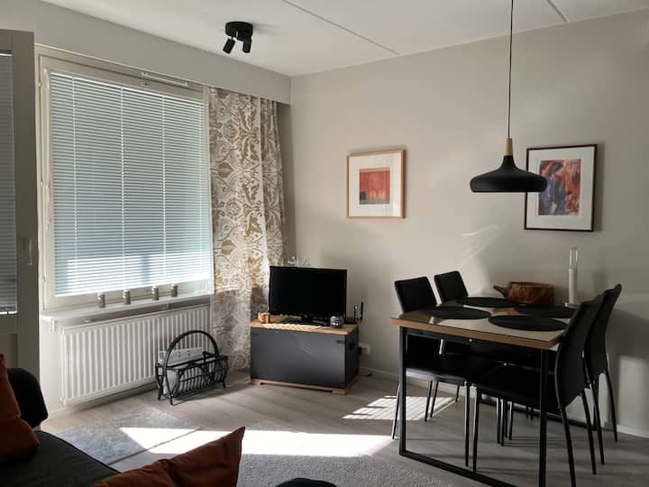 Apartment Amanda

Sauna And Free Parking - Rovaniemi
