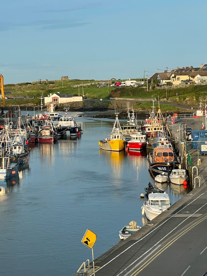 Quayside - Wicklow
