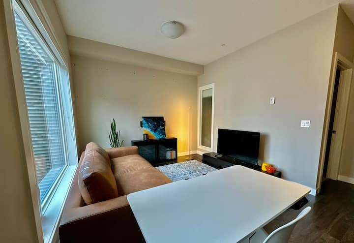 1br In Mission W/ Heated Parking And Huge Windows - Calgary