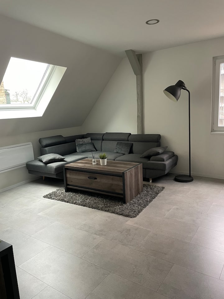 Appartement Neuf Moderne Strasbourg - Strasbourg