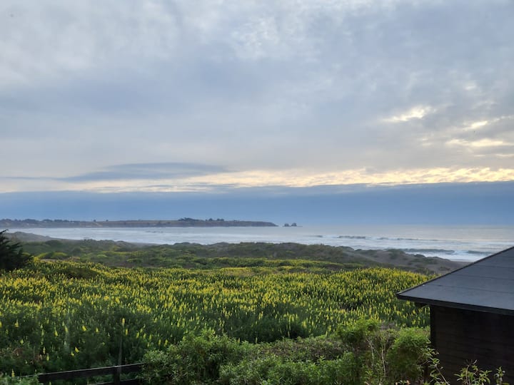 Orilla De Lobos - Pichilemu