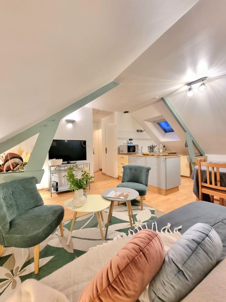 Havre Marin Cosy 2 Min à Pied Plage Et Centre - Saint-Lunaire