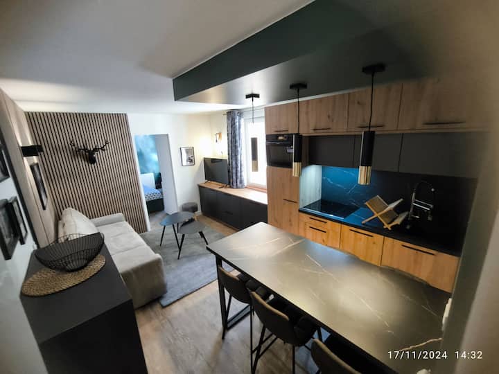 Appartement Vars Centre Station - Vars