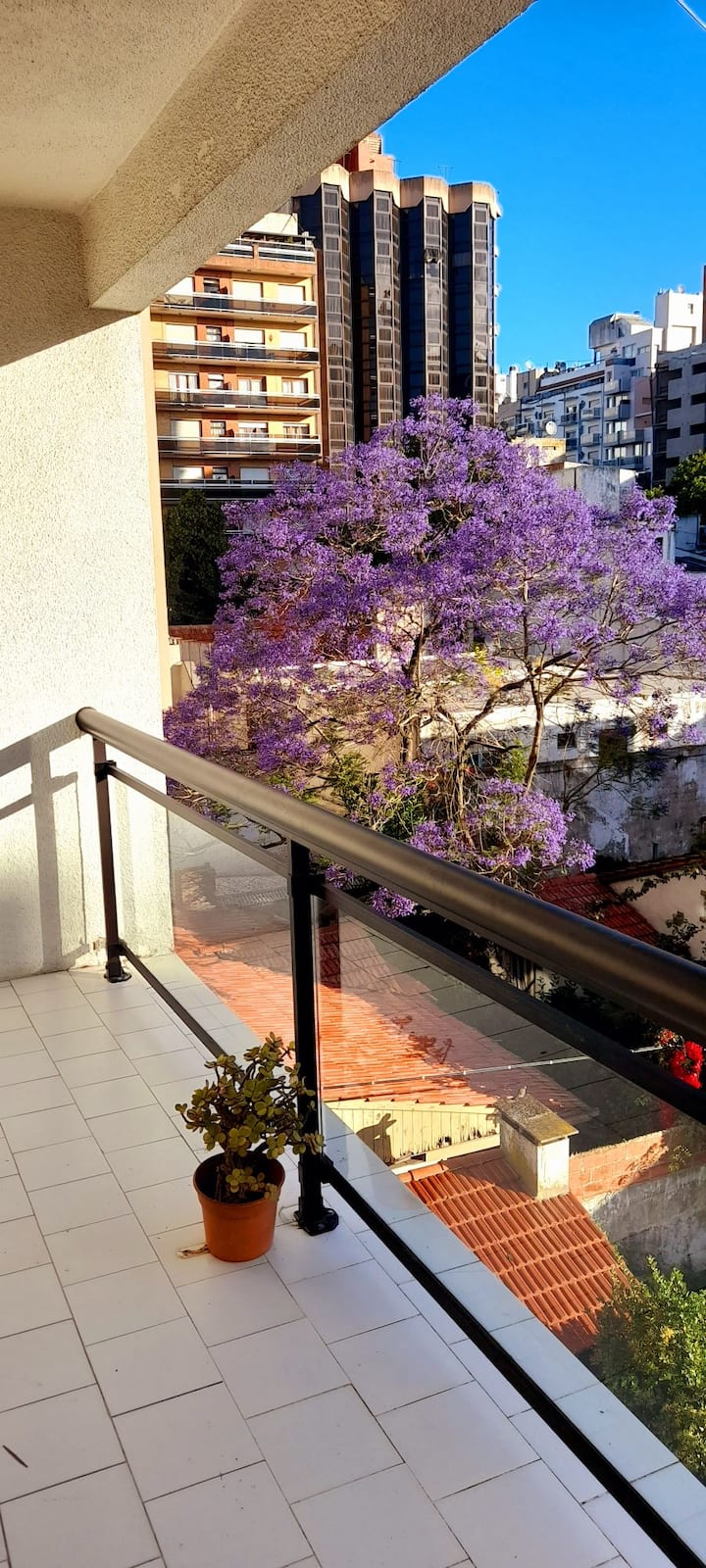 Hermoso Depto. En Zona Centro - 