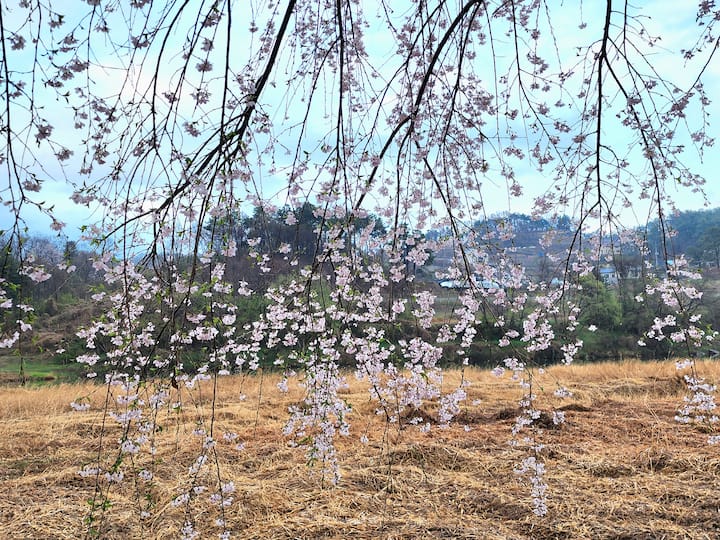 오직 한 팀을 위한  공간 온리유 프라이빗펜션입니다 - 양평읍