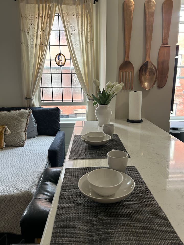 Quiet City Condo - Jamaica Plain - Boston