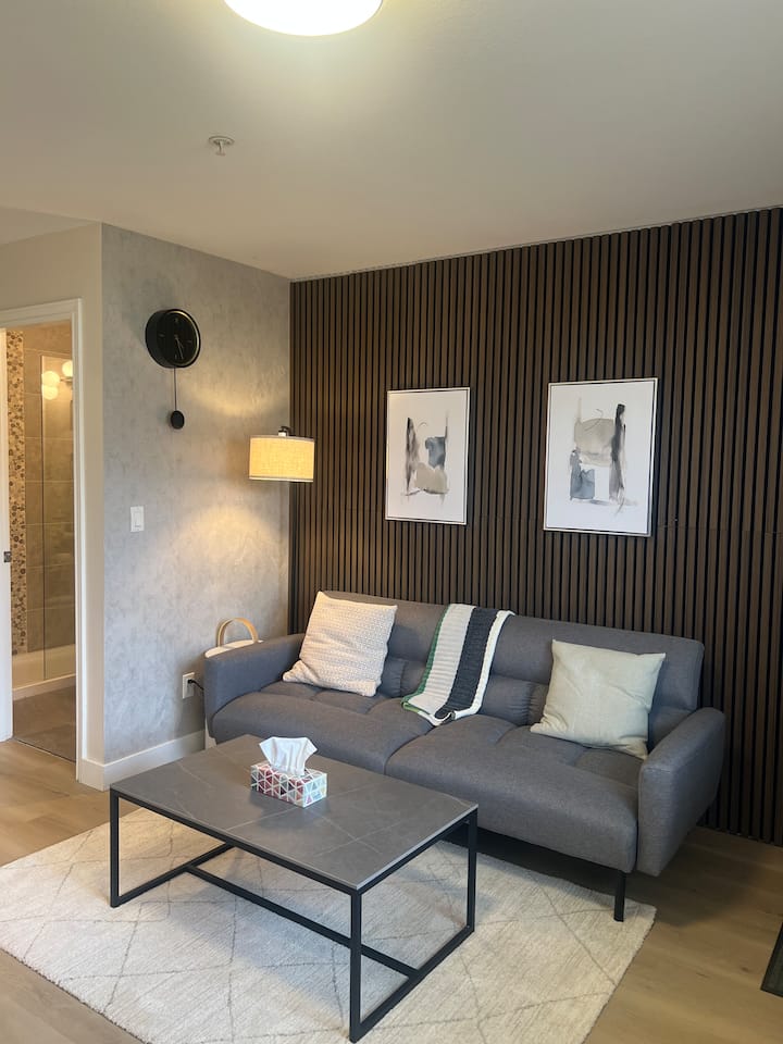 Cozy Clean Private Suite No Share Q Bed &1 Sofabed - Vancouver