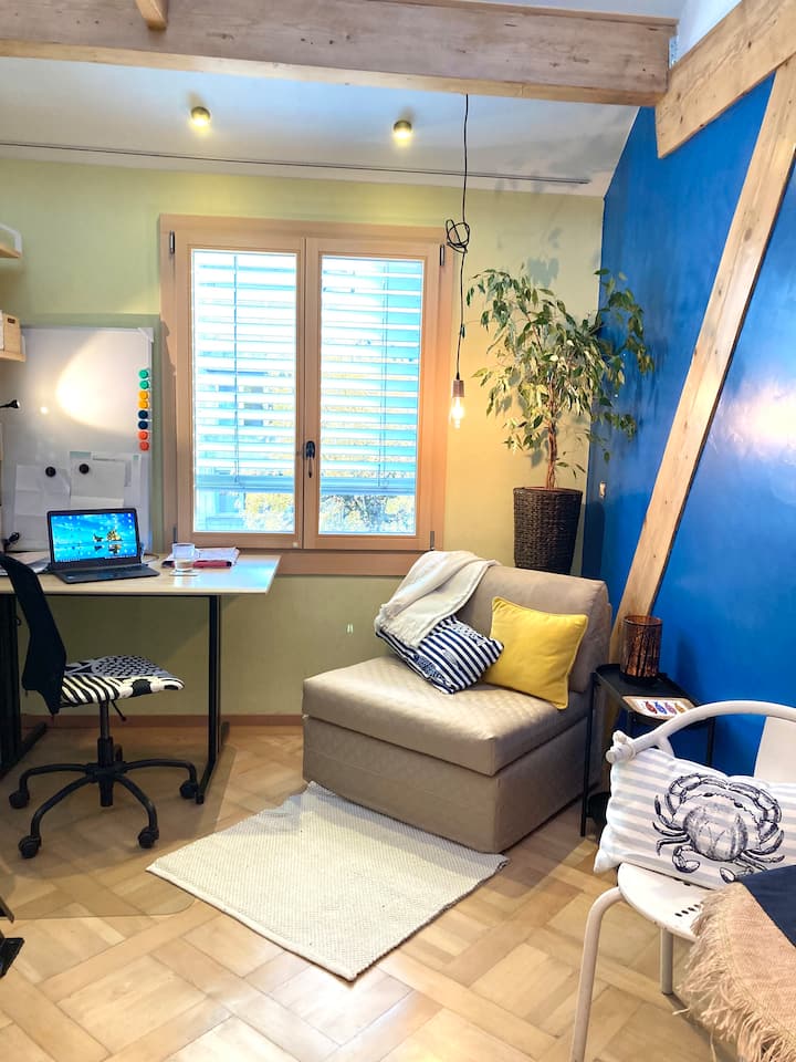 Cosy Maisonette Room 6’ To City Center + Breakfast - Bern