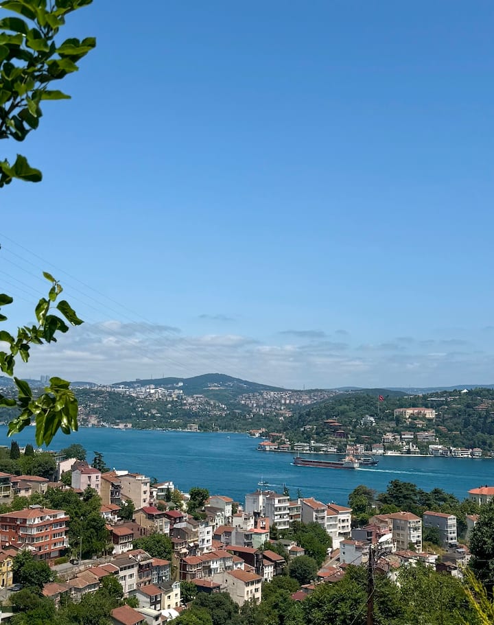 Detached Villa With Garden And Bosphorus View - İstanbul