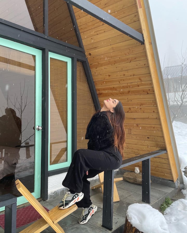 Bastiat Stays | A Tiny Vibrant A-frame - Jibhi