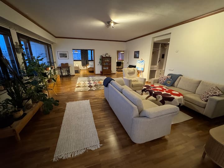 Spacious Top Floor Apartment In The City Center - Rovaniemi