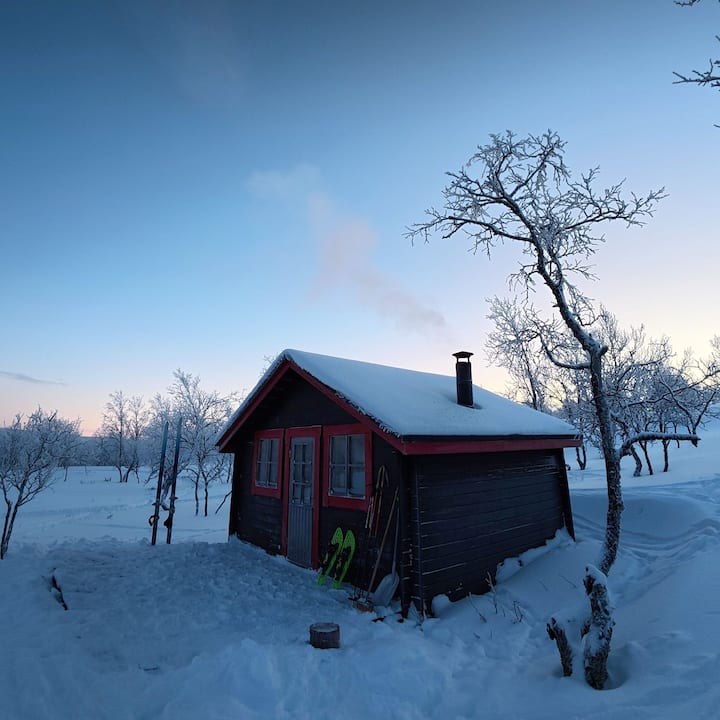 Rauha Wilderness Cabin - Inari