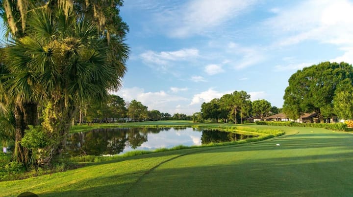 Villa Near Golf And Beaches! - Odessa, FL