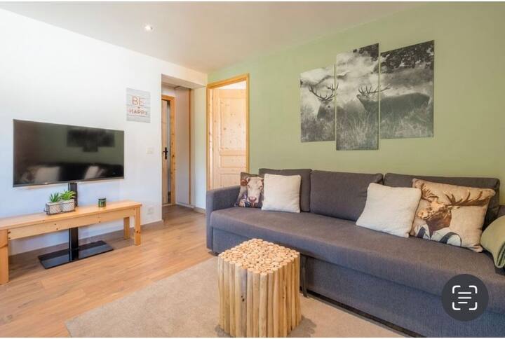 Appartement Spacieux Plein Centre Vue Mont Blanc - Combloux