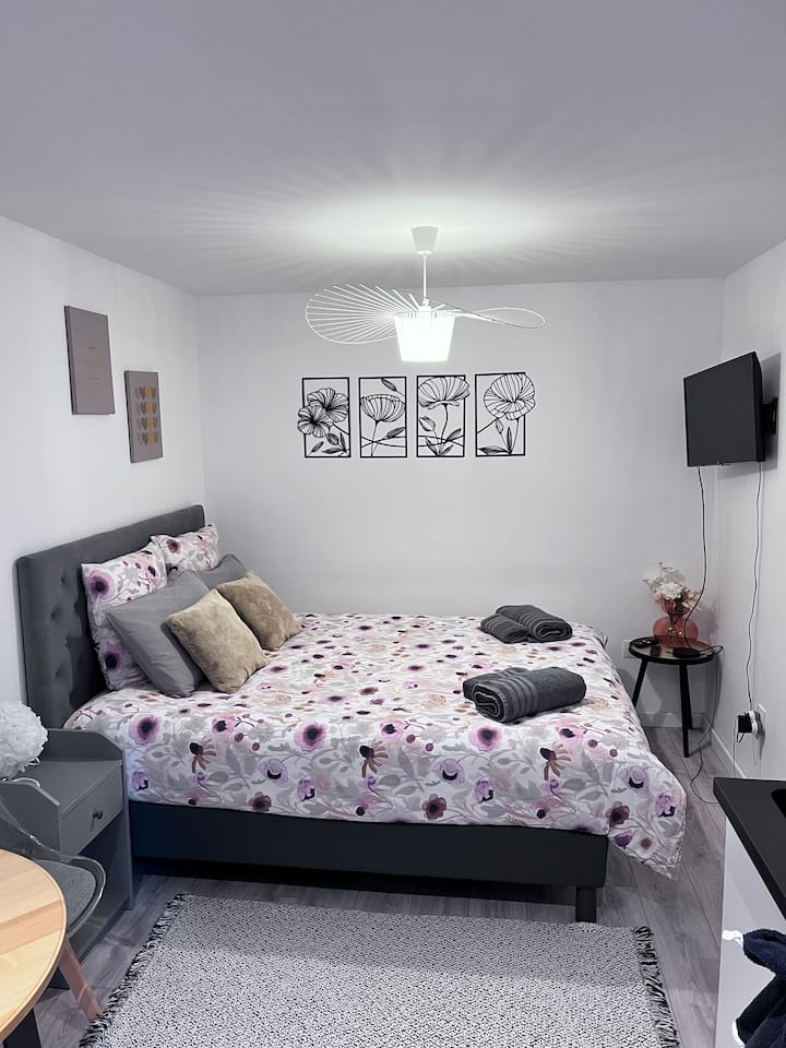 Le Patcho Studio Cosy Proche Centre Ville - 聖特拉斯堡