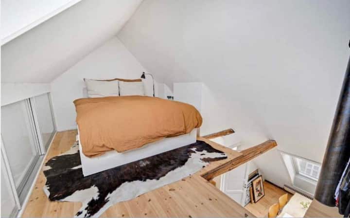 Classic Copenhagen Apartment - Copenhaguen