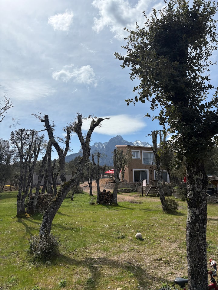 Appartement T2 Climatisé - Asco