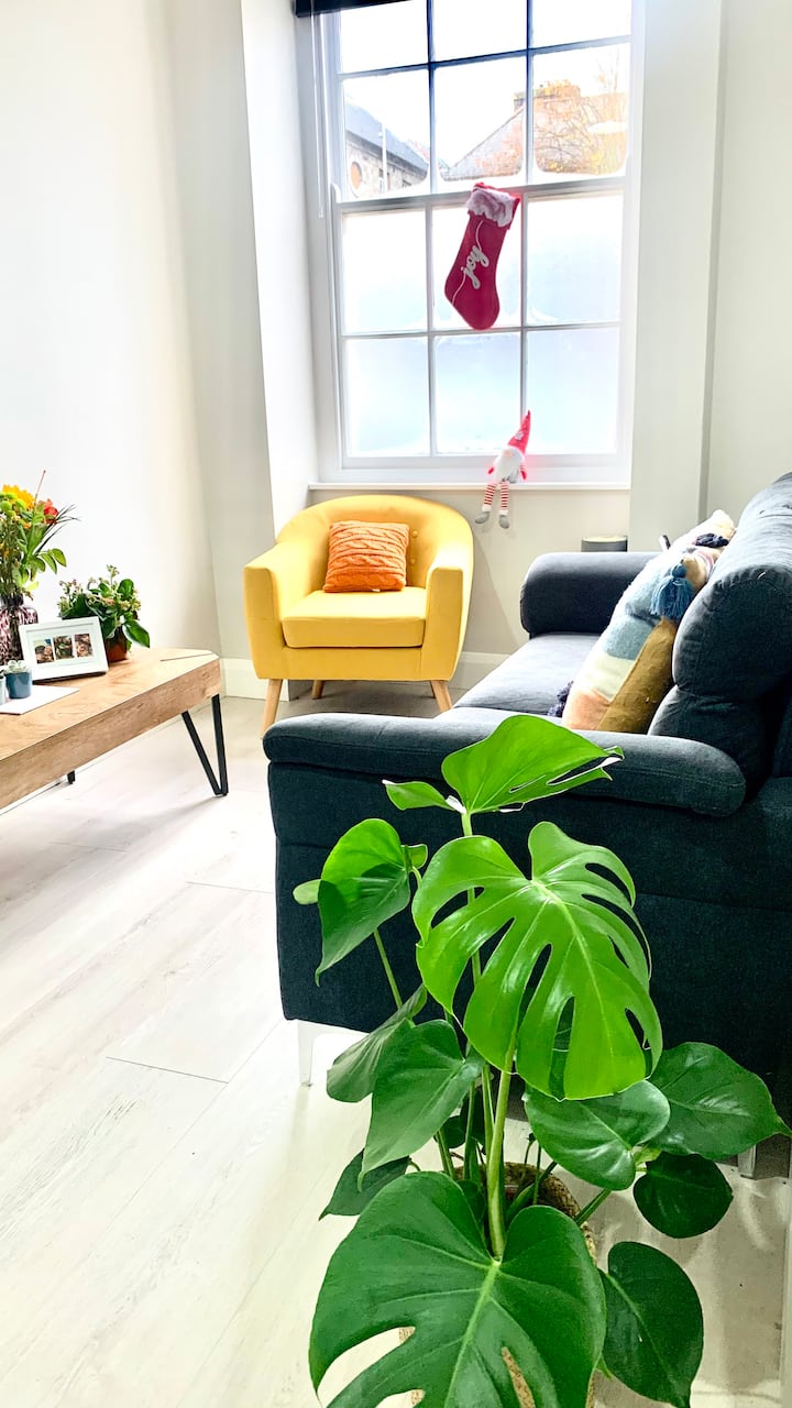 Estadia Moderna No Coração De Limerick - Limerick