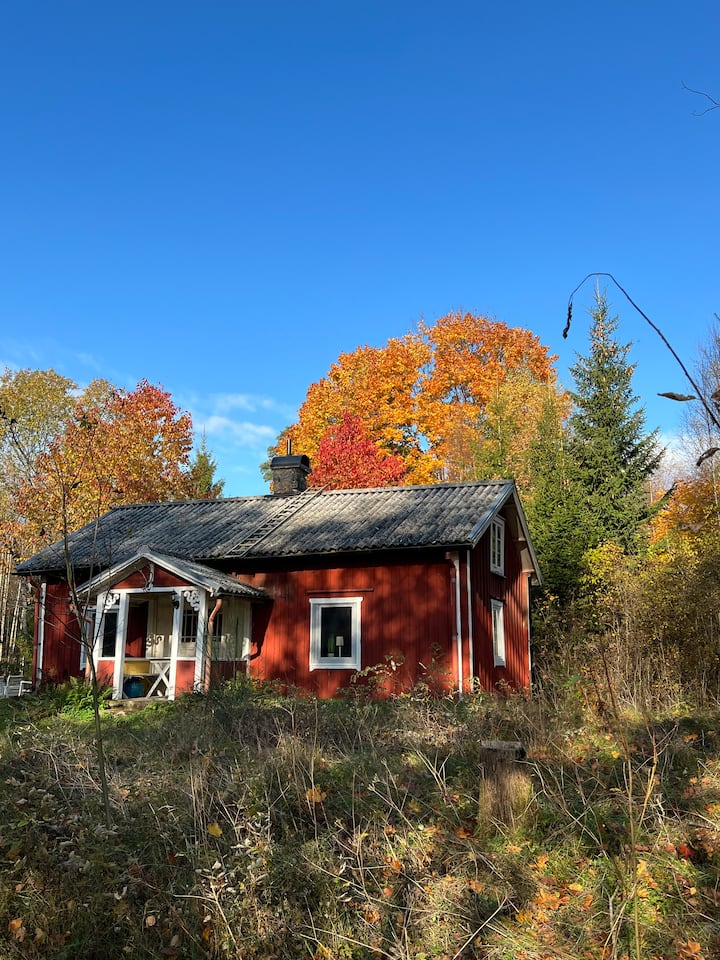 Idyllisches Einsames Waldhaus - Tingsryd