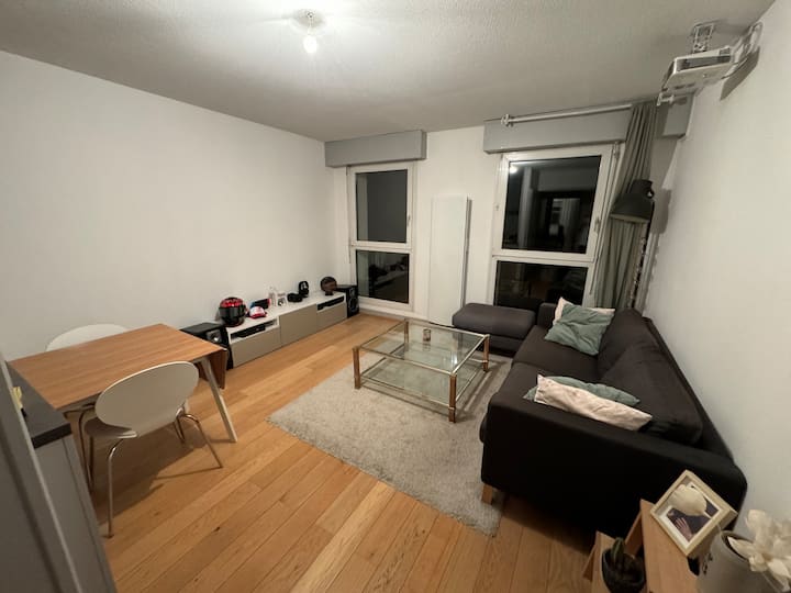 Appartement 2 Pièces Proche Hyper Centre - Straatsburg
