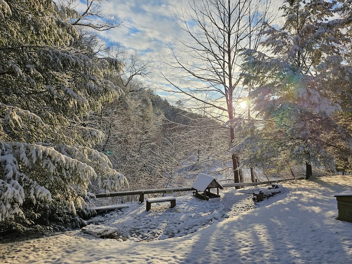 No Steep Driveway|king Beds|firepit|creek|rockface - Hocking Hills State Park, OH