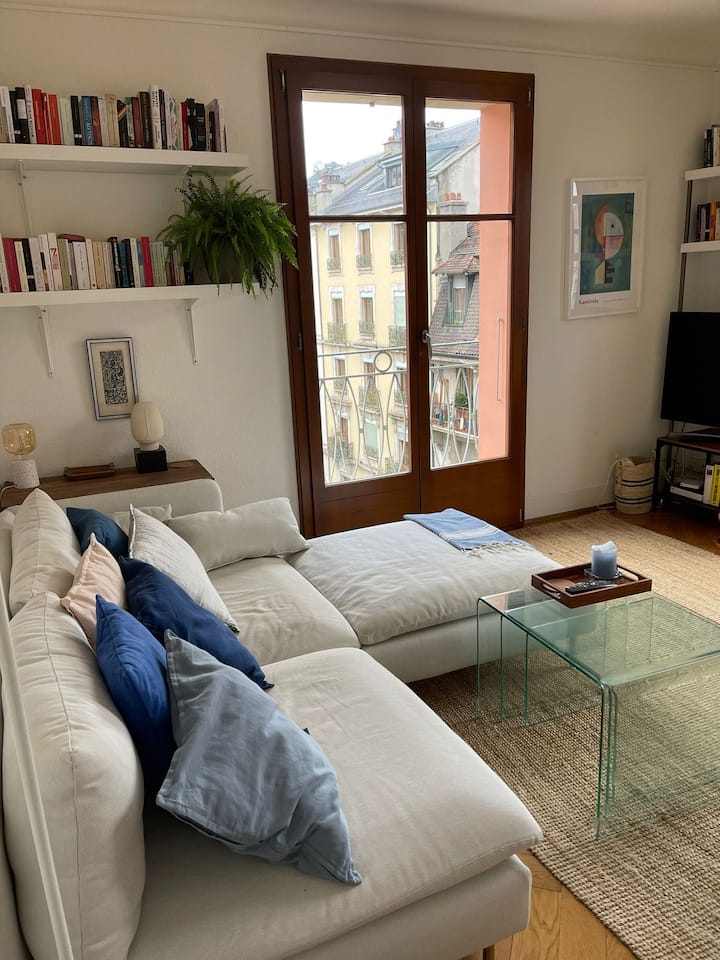 Bright And Central Apartment - Geneva