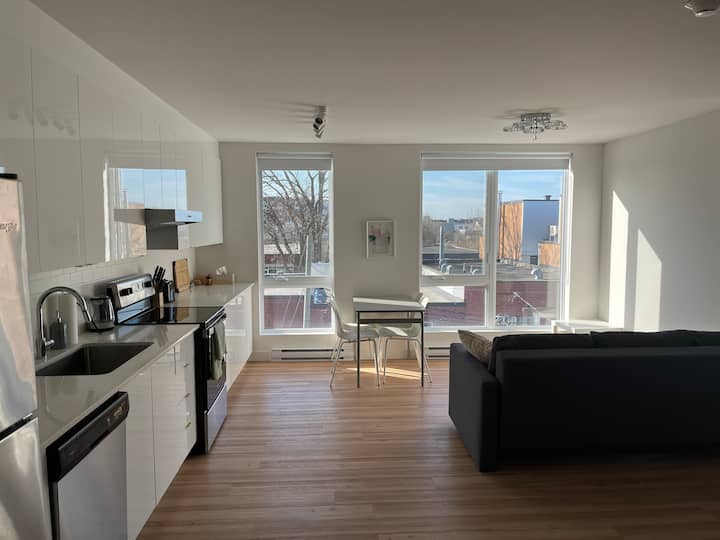 2 Bedrooms In A Quiet 4.5 Apt With Rooftop - Montreal